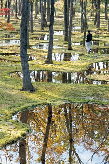 Water Garden by Junya Ishigami | 2018-12-07 | Architectural Record