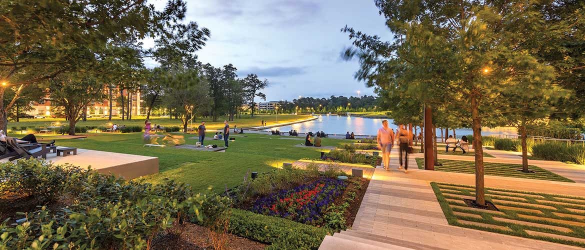 City Park Landscape