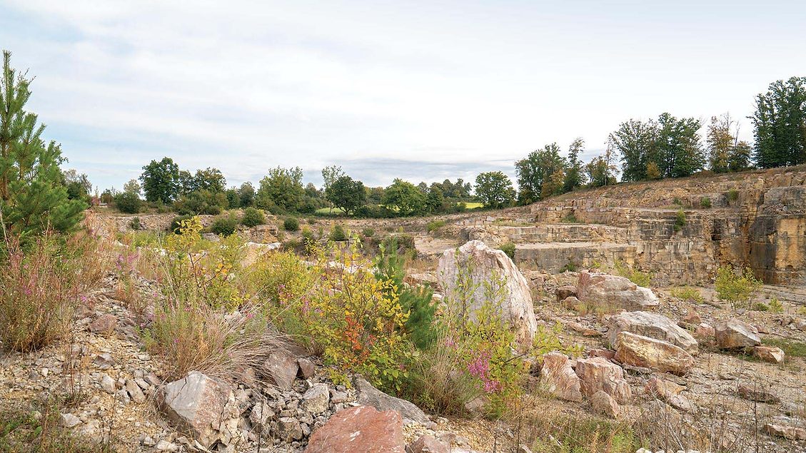 Quarriers Adopt Back-to-Nature Strategies | Architectural Record