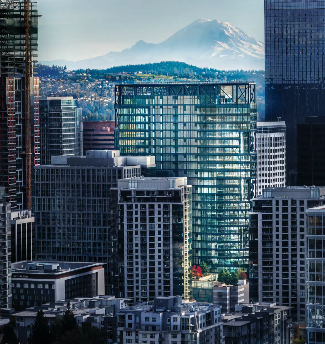 A Timber-and-Steel Office Tower by Pickard Chilton Takes Root on ...