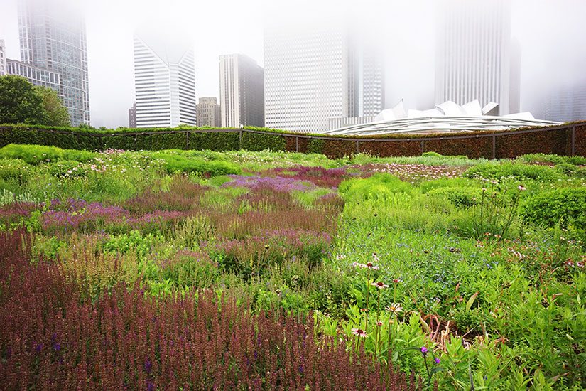Review of ‘Five Seasons: The Gardens of Piet Oudolf’ | 2018-06-19 ...
