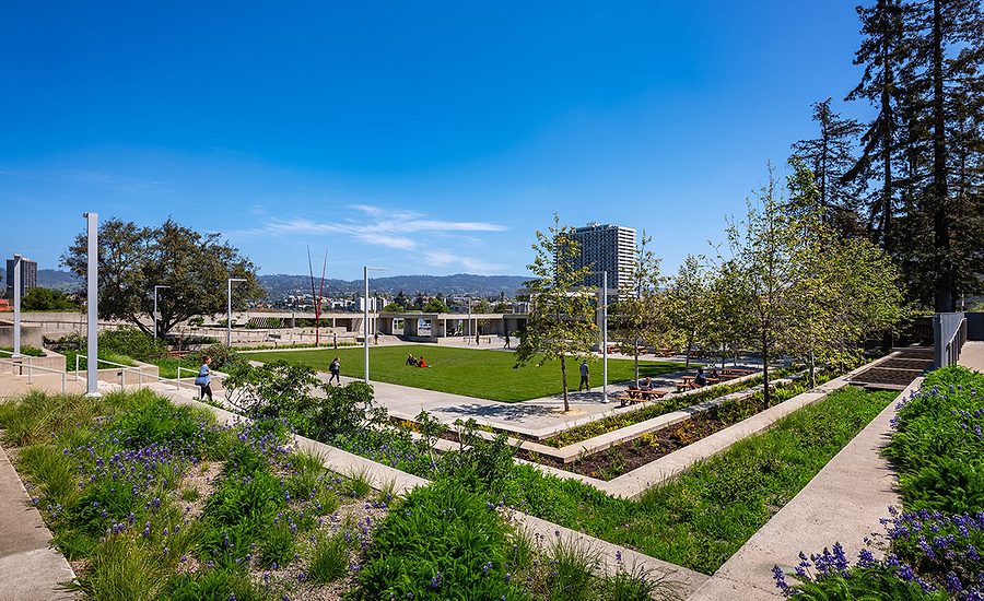 Oakland Museum of California Announces June Reopening | 2021-05-19 ...