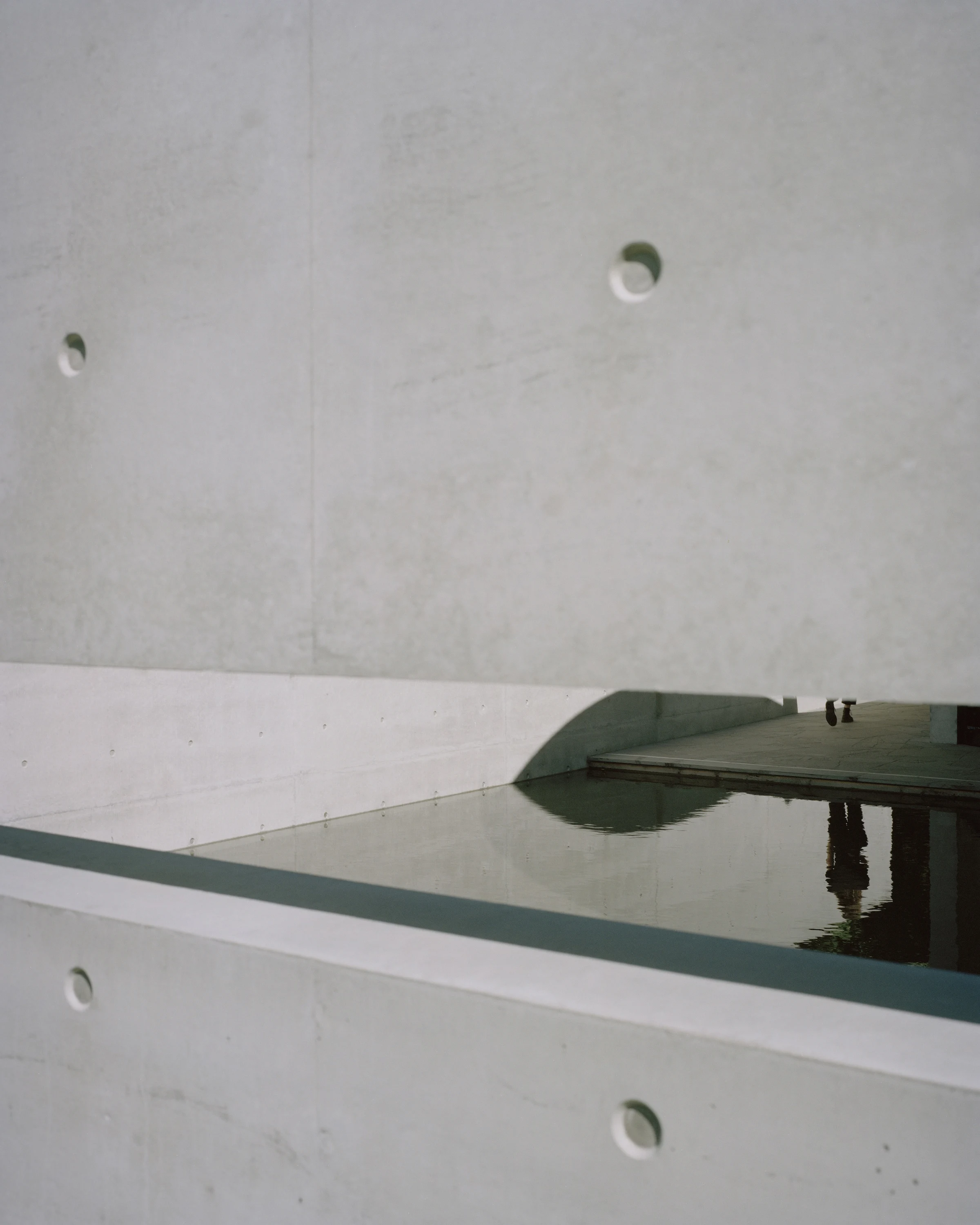 Tadao Ando’s MPavilion 10 Opens in Melbourne | Architectural Record